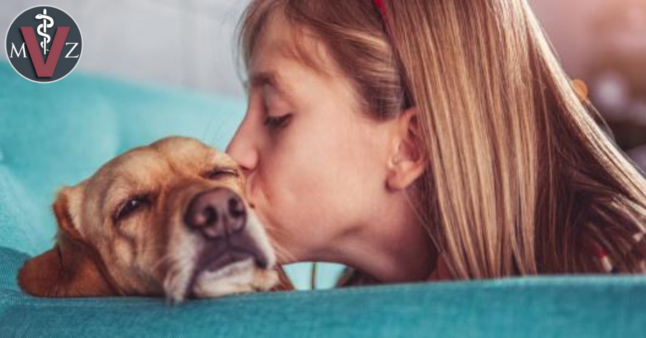 Mucho cuidado con las enfermedades zoonoticas » Médico Veterinario ...