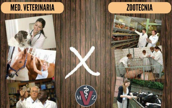 Descubre la diferencia entre Zootecnia y Medicina Veterinaria: Tu guía ...